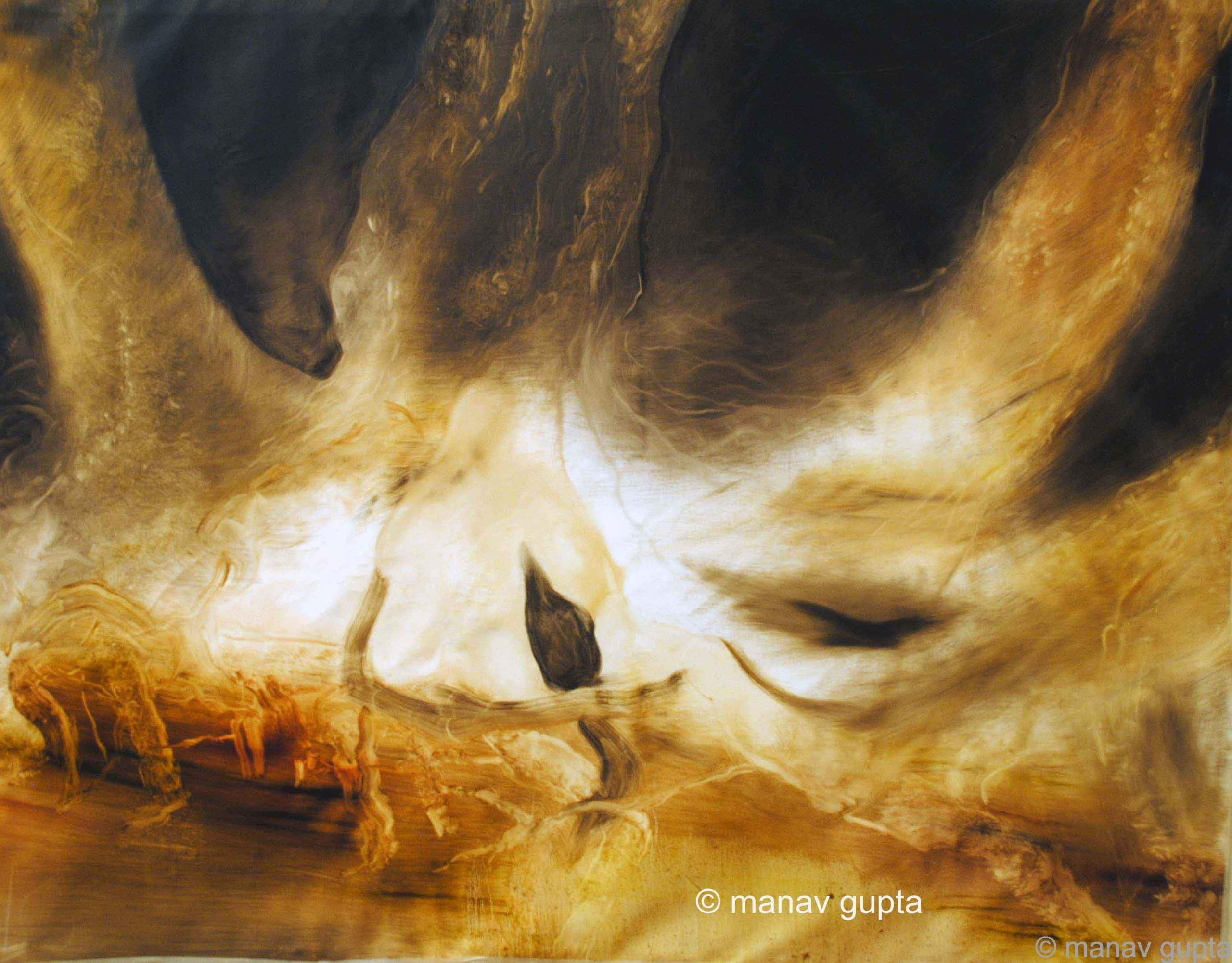 Manav Gupta | Art for Earth. Museum. Laboratory.